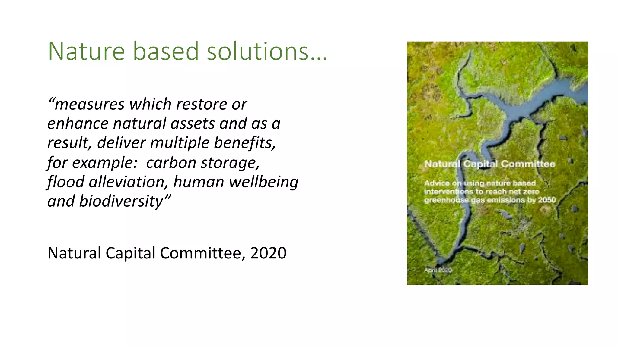 Nature-based Approaches | PPT