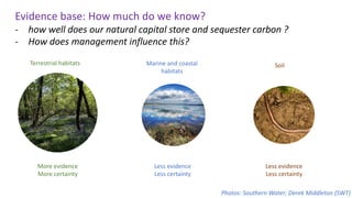 Nature-based Approaches | PPT
