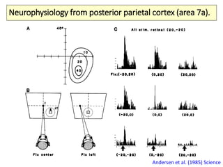 Computational Motor Control: Kinematics & Dynamics (JAIST summer course) | PPT