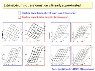 Computational Motor Control: Kinematics & Dynamics (JAIST summer course) | PPT
