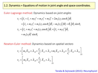 Computational Motor Control: Kinematics & Dynamics (JAIST summer course) | PPT