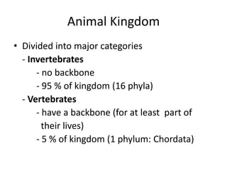 01 kingdom animalia | PPTX | Biological Sciences | Science