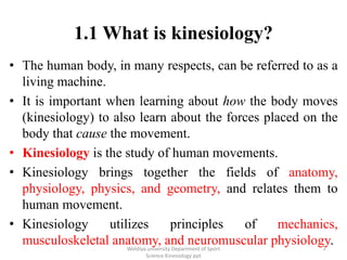 kinsiology.pptx