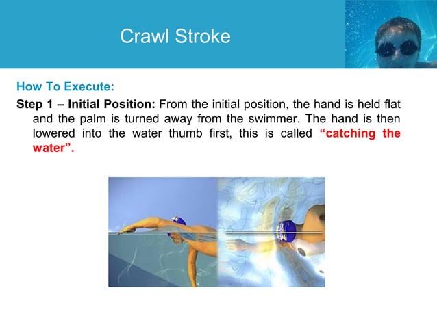 Survival Strokes | PPT | Swimming | Sports