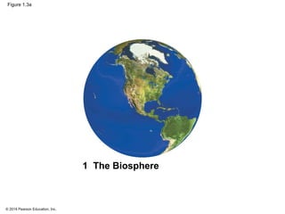 Biology in Focus Chapter 1 | PPT