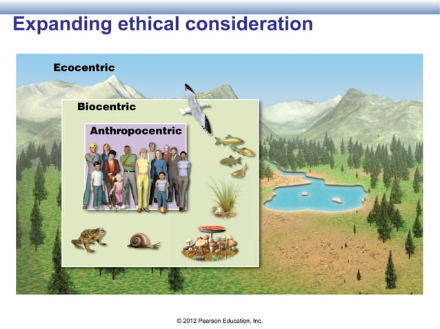 Essential Environment 4e Chapter 1 PowerPoints | PPT | Environmental ...