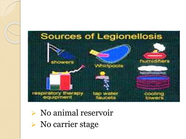 Legionellosis | PPTX | Infectious Diseases | Diseases and Conditions