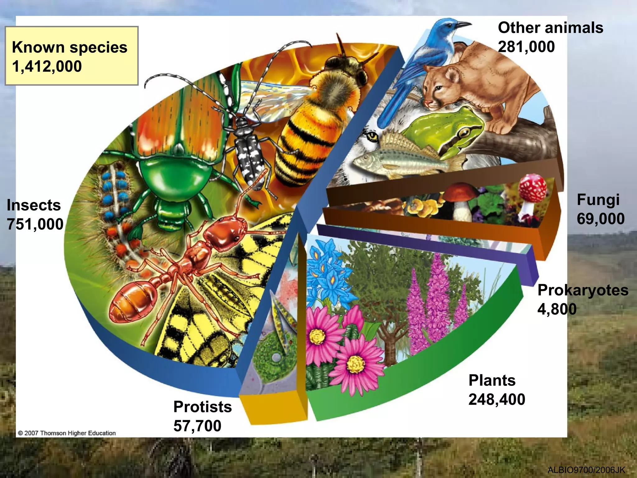 01 Levels of Ecological Organisation | PPT