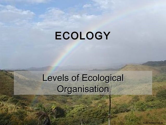 01 Levels of Ecological Organisation | PPT | Biological Sciences | Science