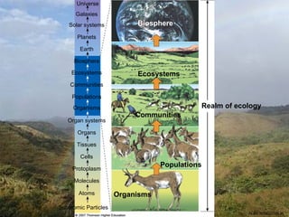 01 Levels of Ecological Organisation | PPT