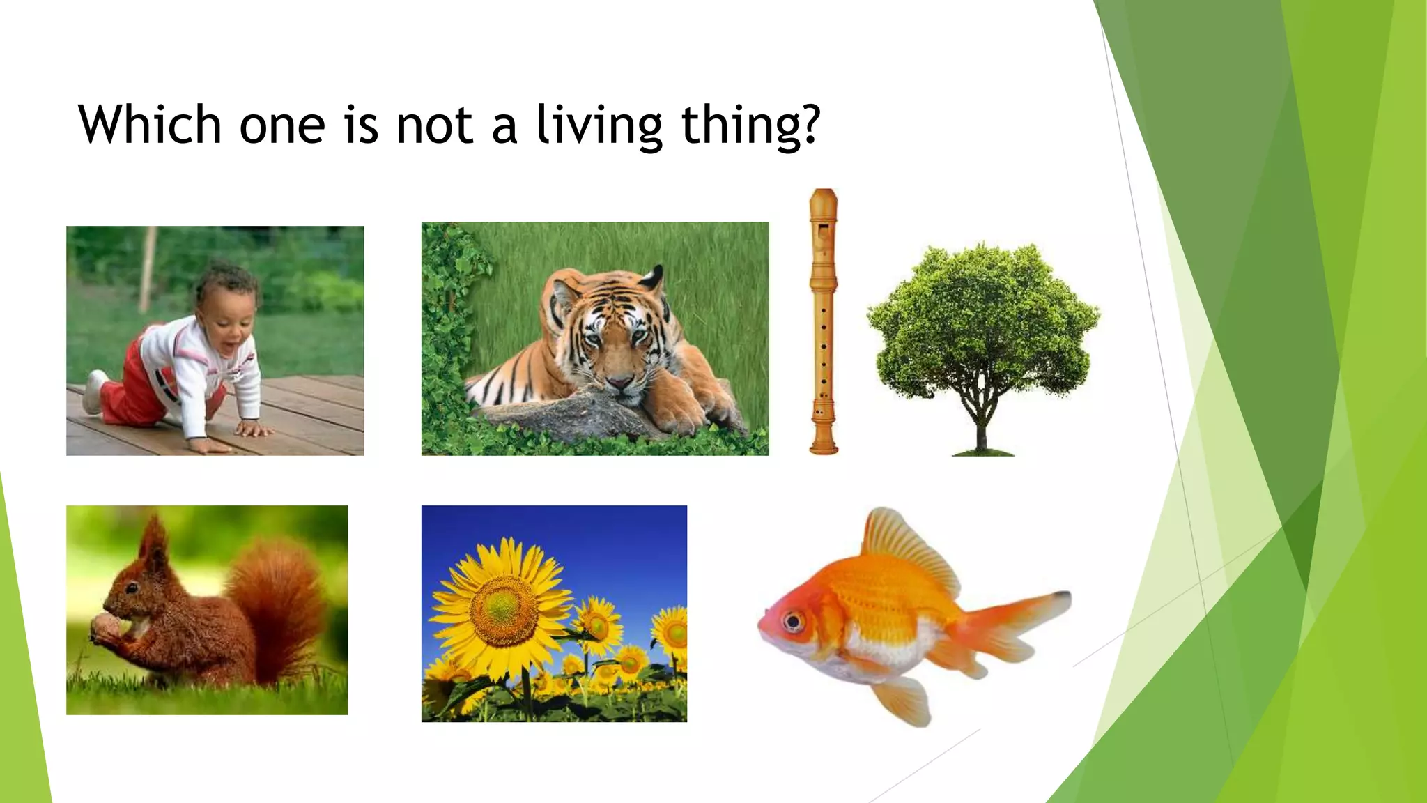 Living and non living things | PPT