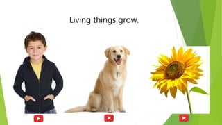 Living and non living things | PPTX