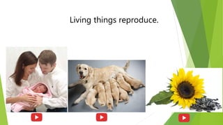 Living and non living things | PPT