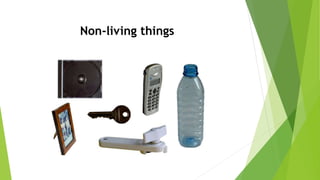 Living and non living things | PPT