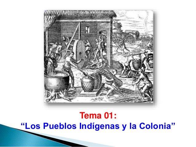 01 los indígenas durante la colonia