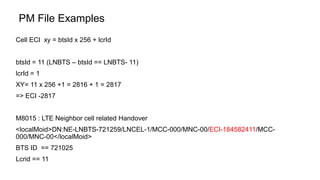 01_LTE _ Nokia vendor- OSS _ aspects.pdf