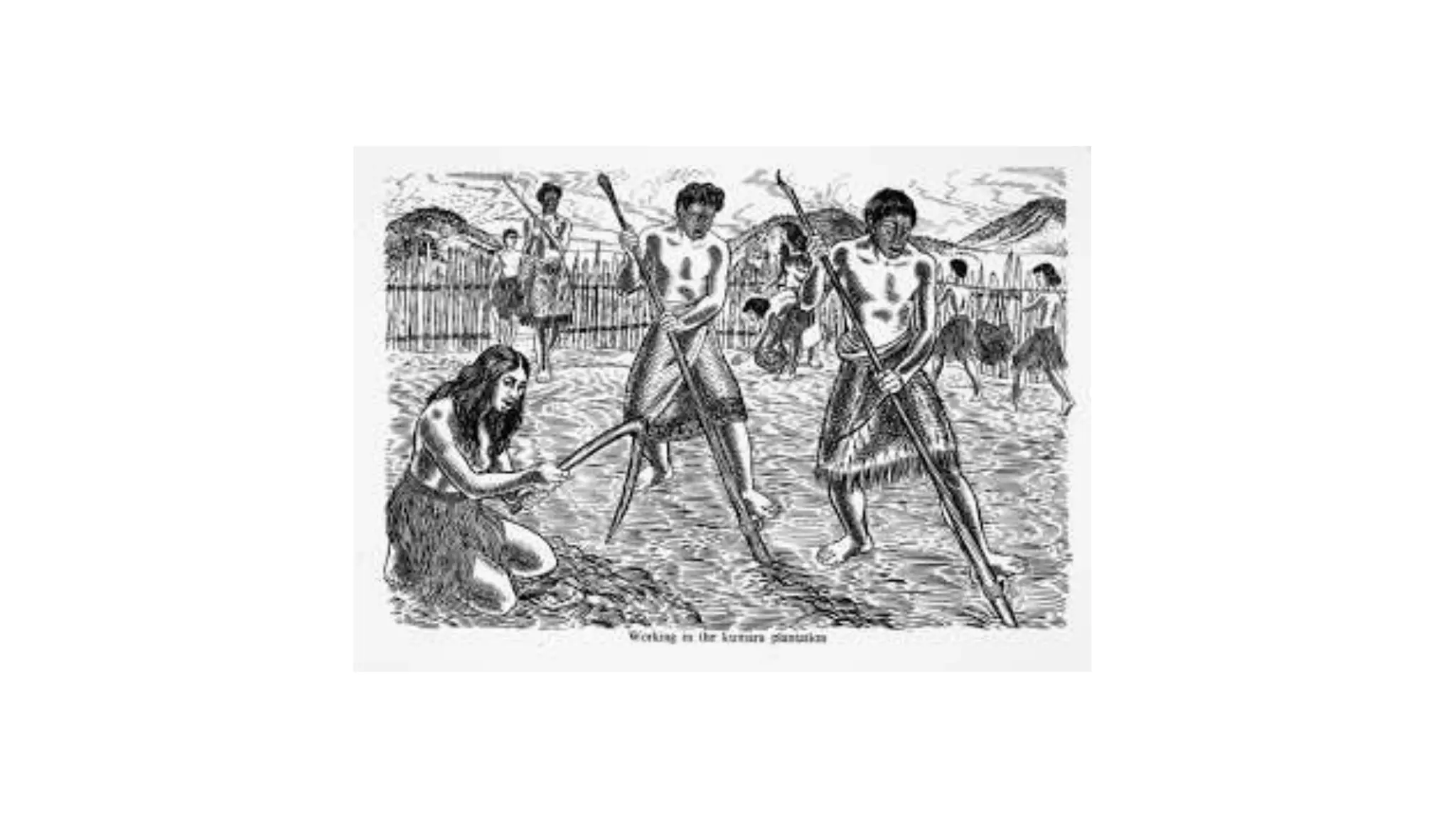 NEW ZEALAND HISTORY: MAORI ARRIVAL AND SETTLEMENT | PPTX