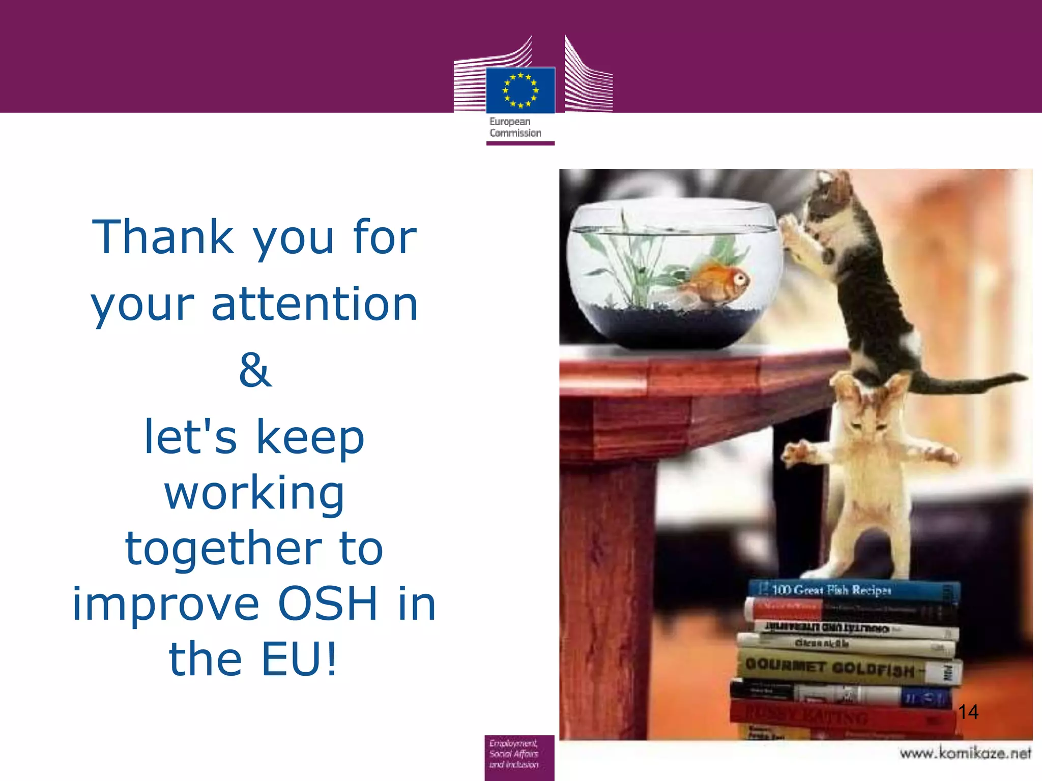 EU OSH Strategic Framework in action – state of implementation | PPTX