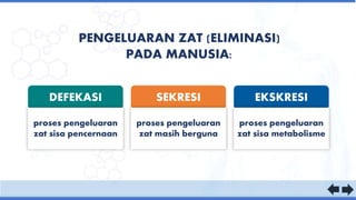sistem ekskresi manusia smp | PPTX
