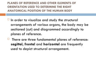 01 Medical Terminology presentation .ppt