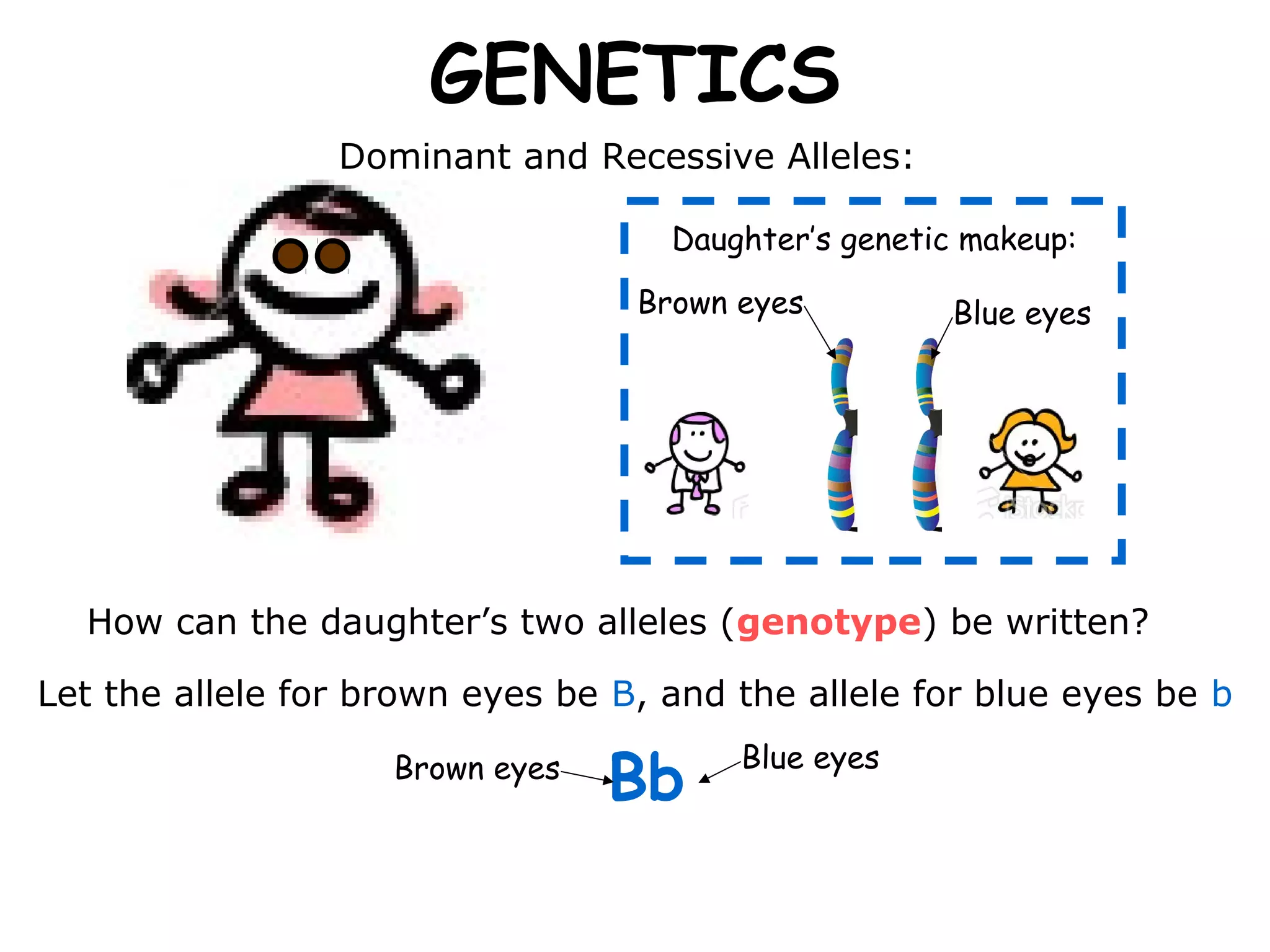01 mendelian genetics | PPT