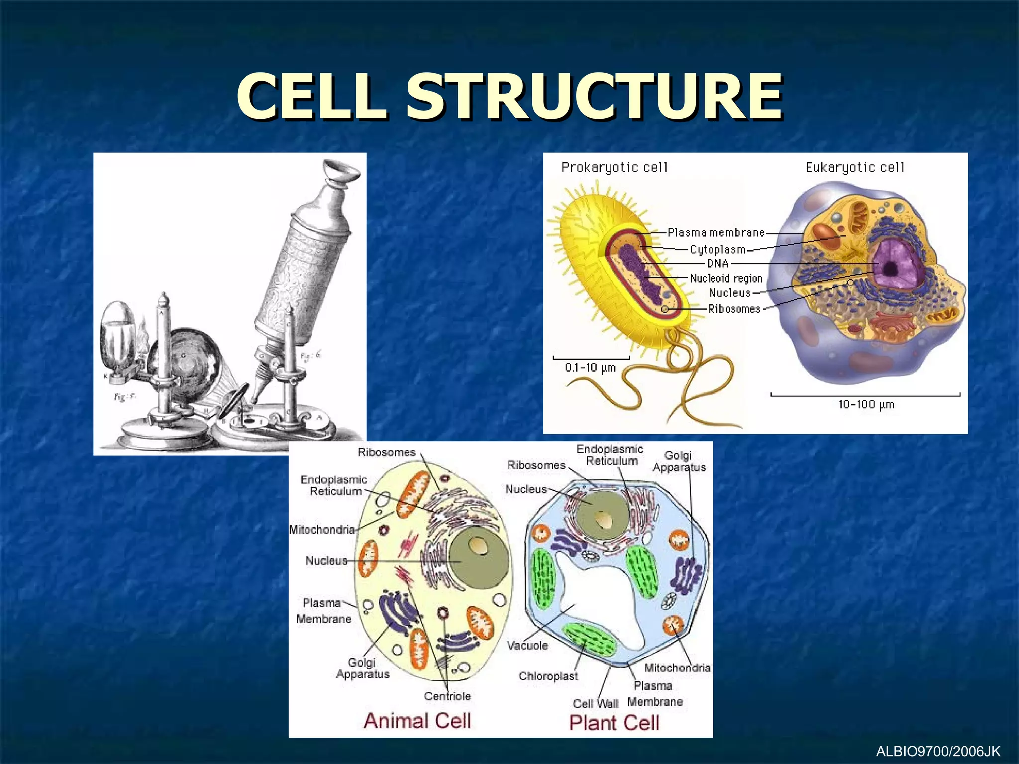 01 Microscope in cell studies | PPT