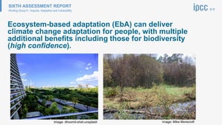Adaptation options for terrestrial and freshwater ecosystems | PPT