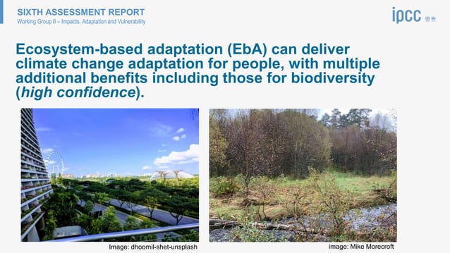 Adaptation options for terrestrial and freshwater ecosystems | PPT