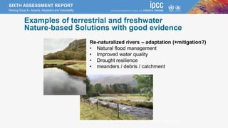 Introduction including perspective on new UN definition of nature-based ...