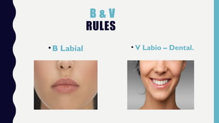 01 MY FIRST WORDS IN ENGLISH. Palabras básicas para comenzar a aprender ...