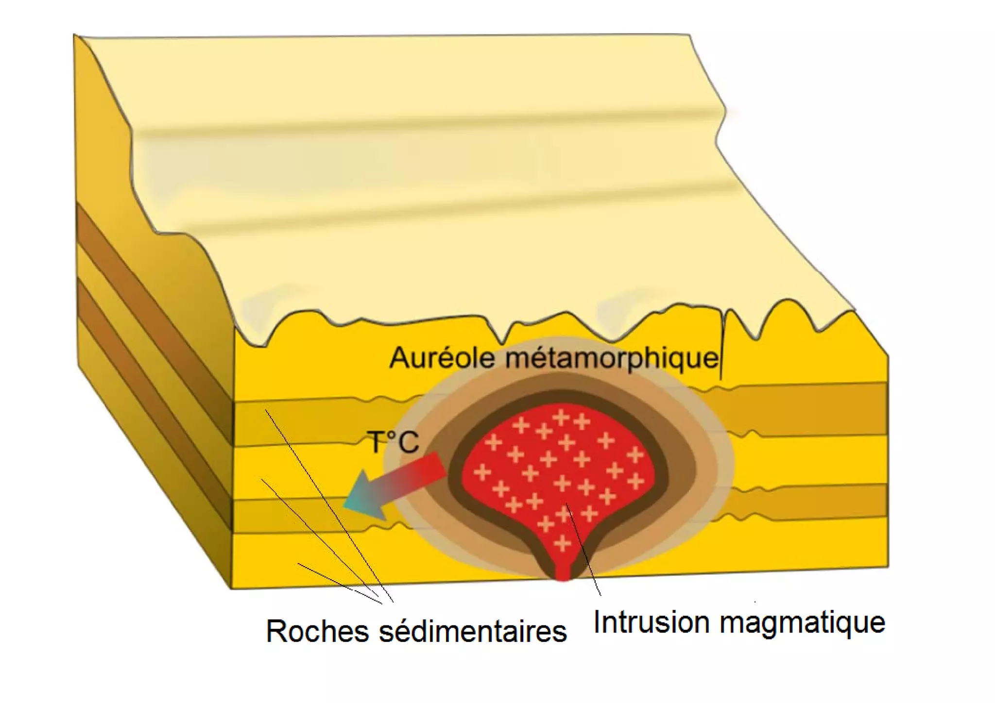 Notions de stratigraphie | PPT