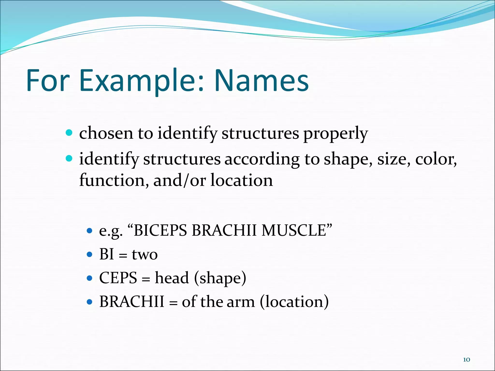 Introduction to Human Anatomy (Nursing) Lecture 01 | PPT