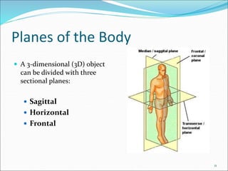 Introduction to Human Anatomy (Nursing) Lecture 01 | PPT