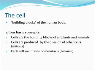 Introduction to Human Anatomy (Nursing) Lecture 01 | PPT