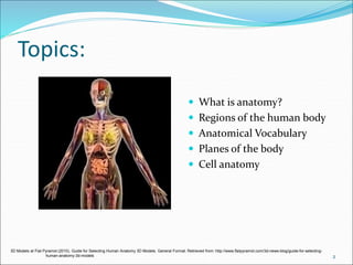 Introduction to Human Anatomy (Nursing) Lecture 01 | PPT | Biological ...