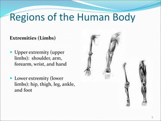 Introduction to Human Anatomy (Nursing) Lecture 01 | PPT
