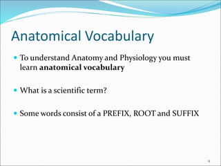 Introduction to Human Anatomy (Nursing) Lecture 01 | PPT