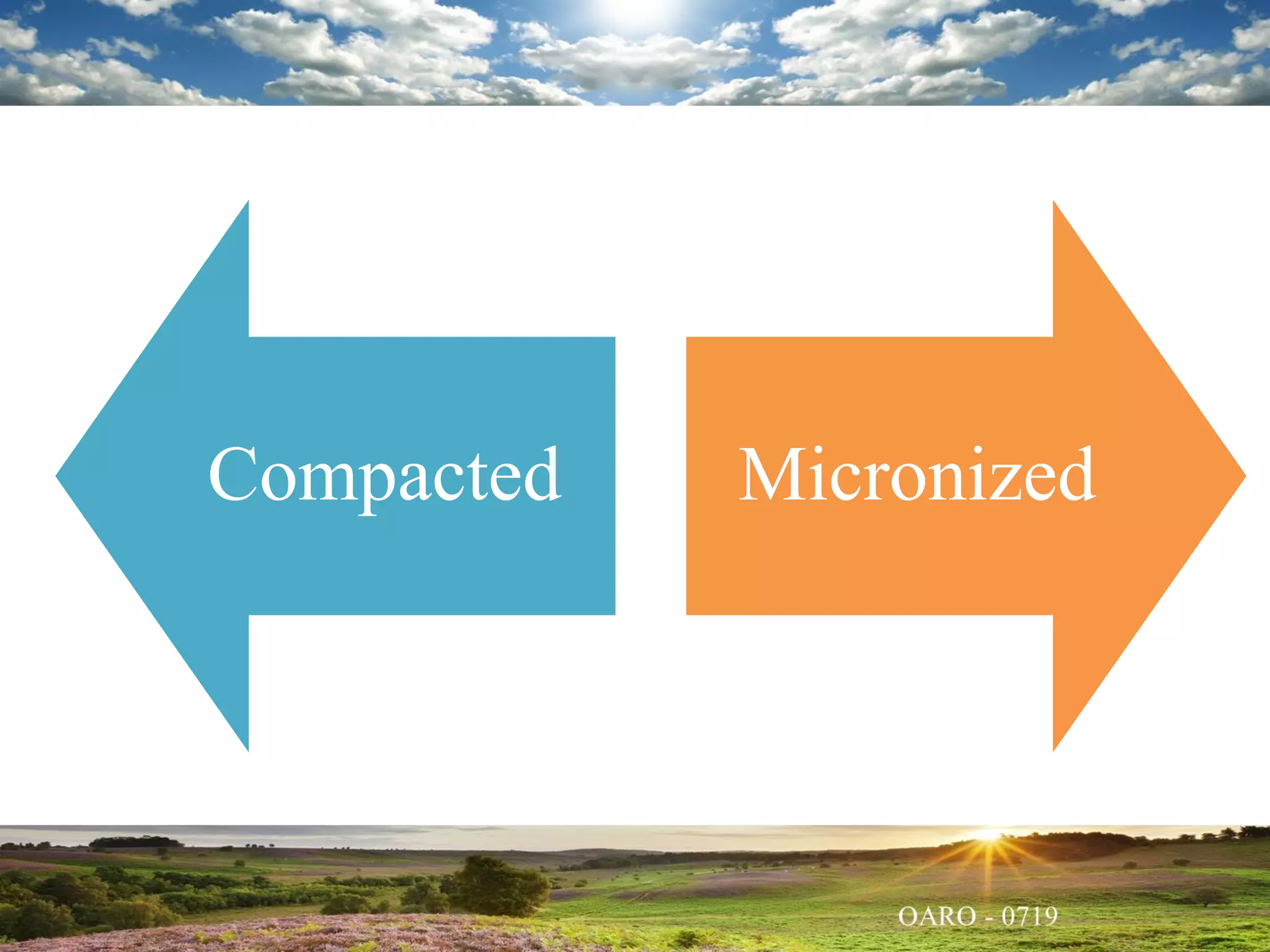 Documentation - The First and Last Exit in GMP | PDF