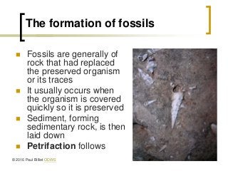 01PALAEONTOLOGY.ppt