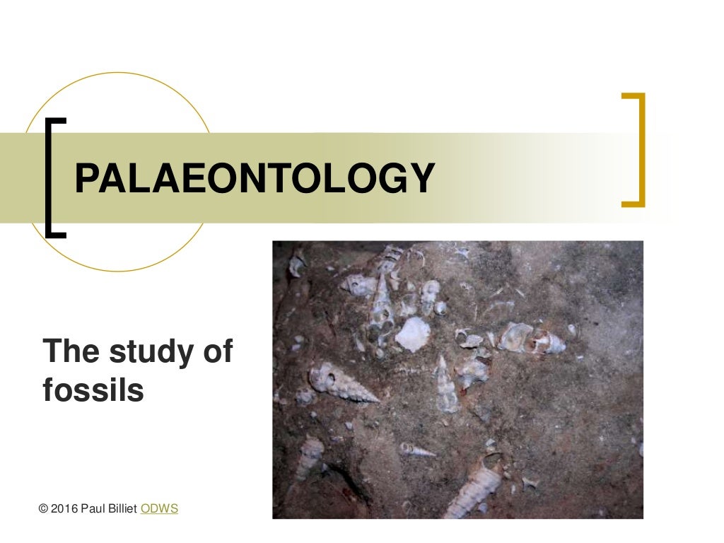 01PALAEONTOLOGY.ppt