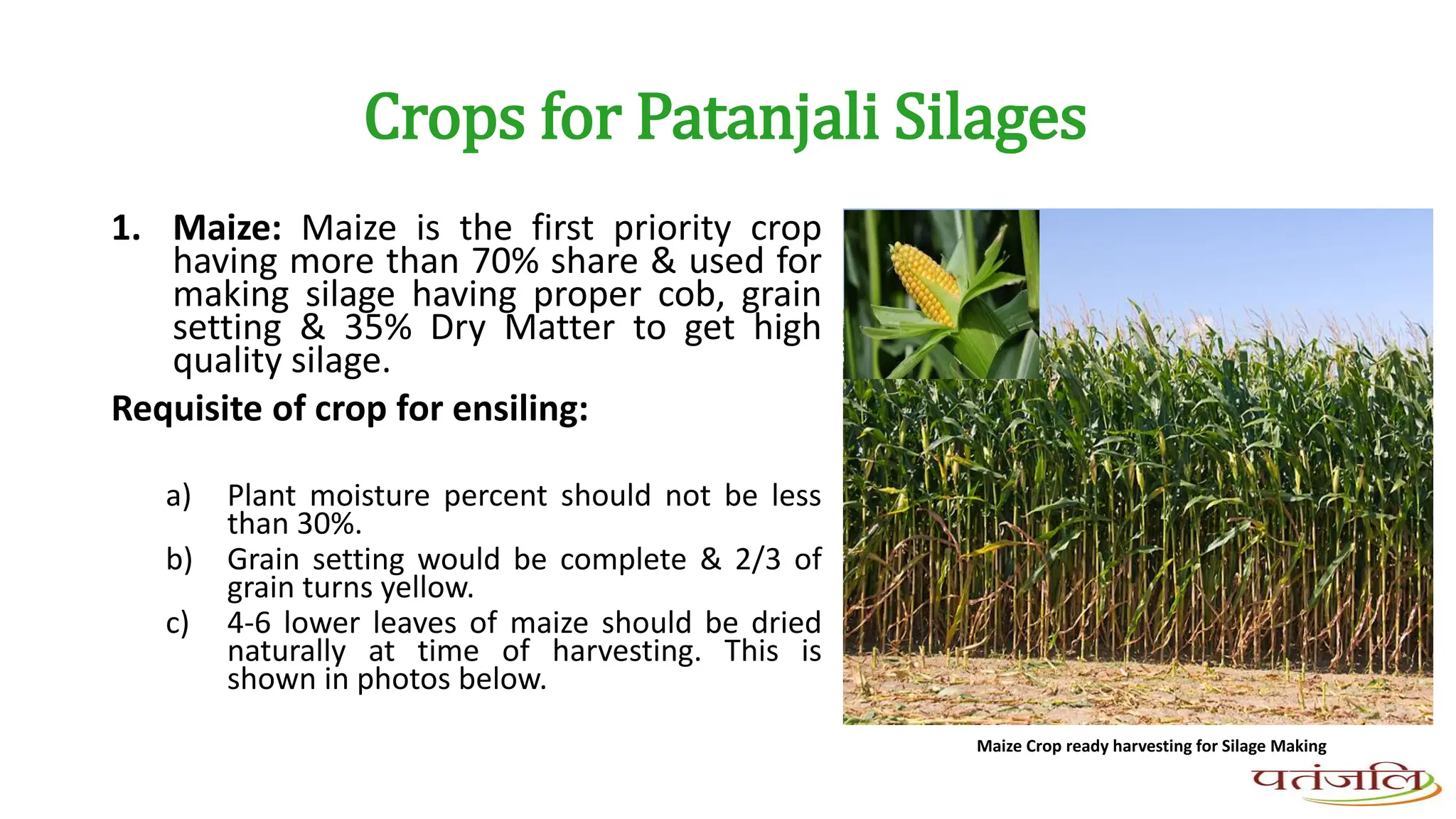 01 Patanjali Forages Silage Business PlanPPT Final.pdf