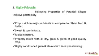 01 Patanjali Forages Silage Business PlanPPT Final.pdf