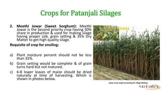 01 Patanjali Forages Silage Business PlanPPT Final.pdf
