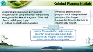 01 Pemuliaan Tanaman dan Analisis Genetik.pptx