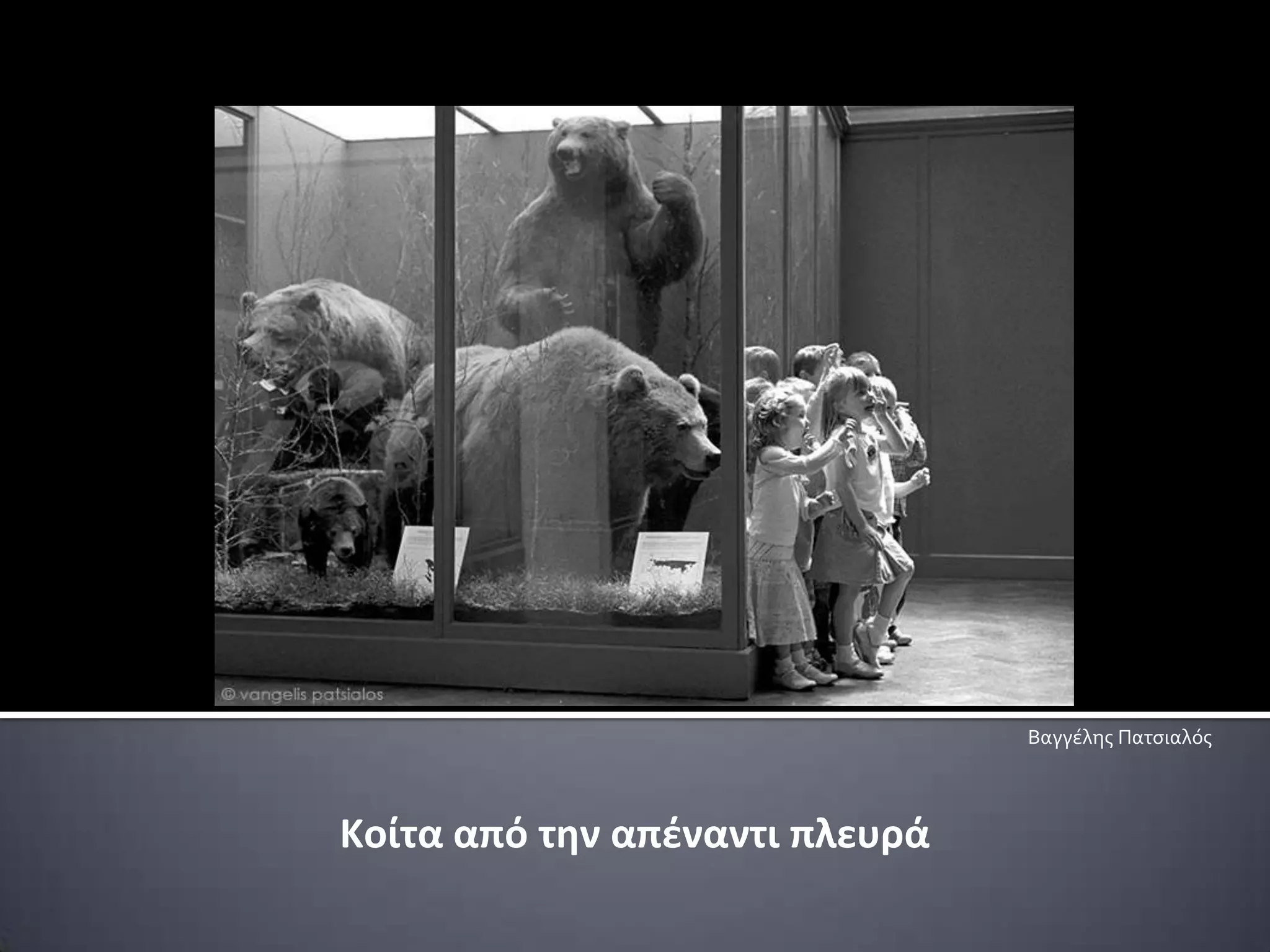 Photography tips | PDF
