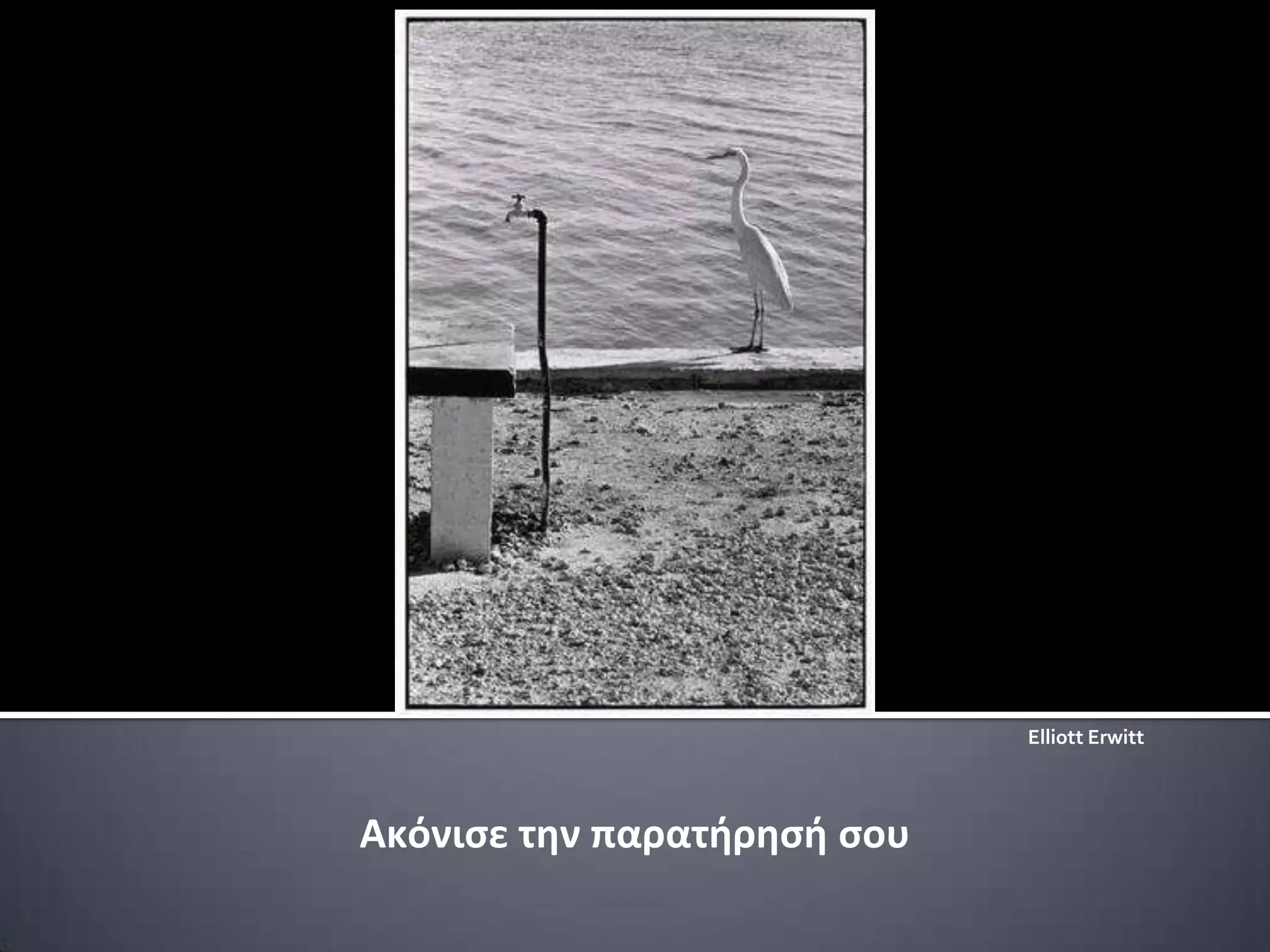 Photography tips | PDF