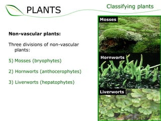 01 plants part 2 (slideshare) | PPT | Gardening | Home & Garden