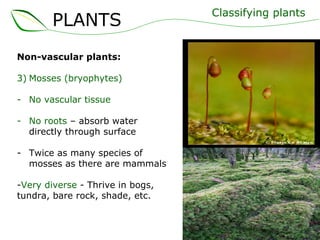 01 plants part 2 (slideshare) | PPT | Gardening | Home & Garden