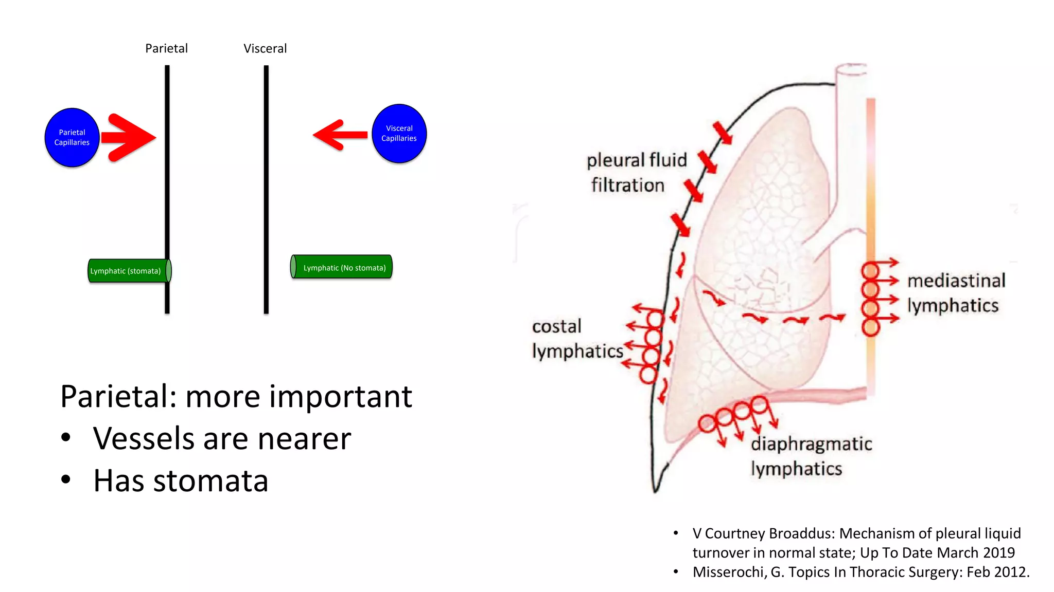 01 pleural physiology referenced | PDF