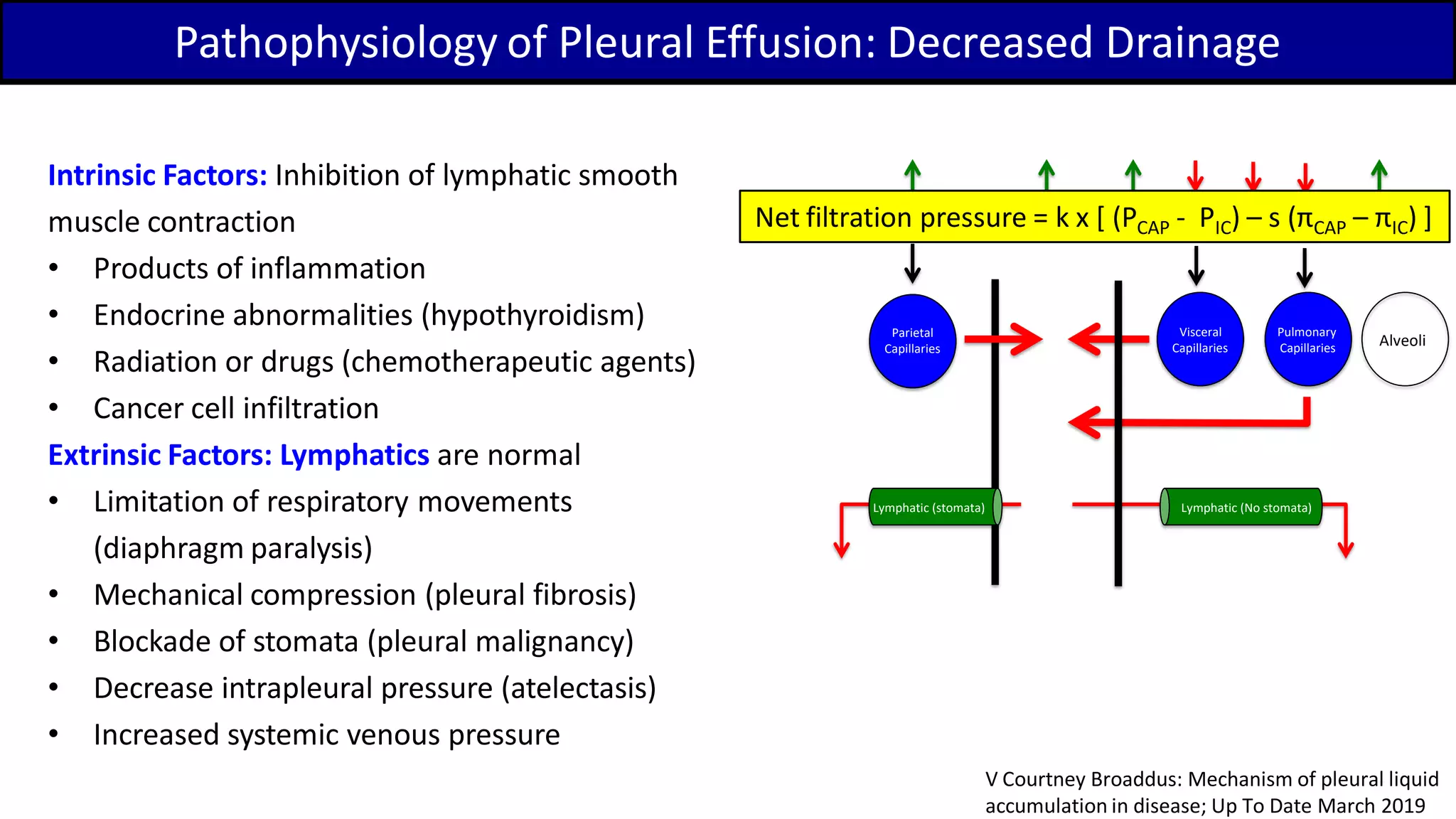 01 pleural physiology referenced | PDF